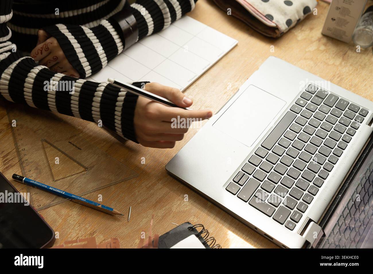 Illustration picture shows a teenager doing her homework at home after ...