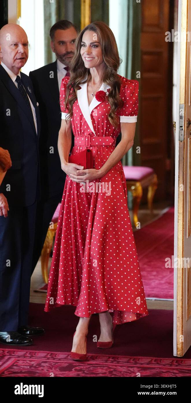 The Princess of Wales during a Cancer Research UK reception to mark the ...