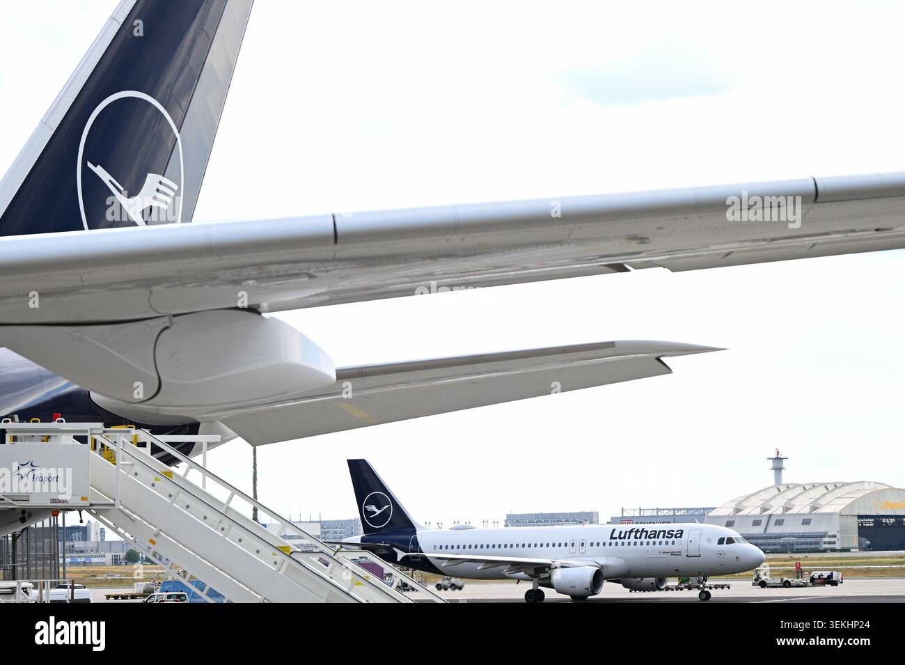 02 June 2026, Hesse, Frankfurt/M.: A Lufthansa Airbus A320-200 aircraft ...
