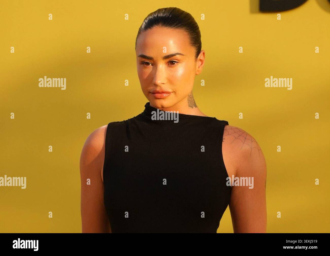 Demi Lovato during the presentation of the new Desigual Vintage ...
