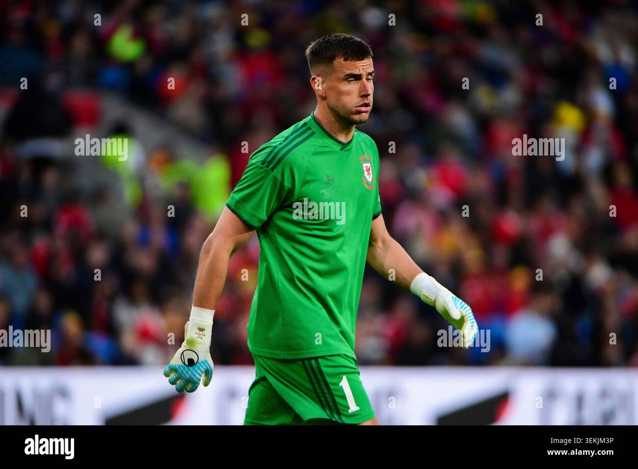 2nd June 2026; Cardiff City Stadium, Cardiff, Wales; Friendly ...
