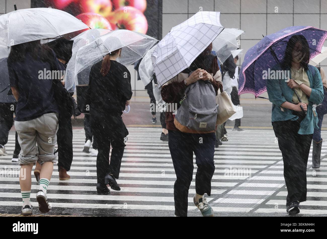 People walk across a pedestrian crossing in Tokyo's Shinjuku area on ...