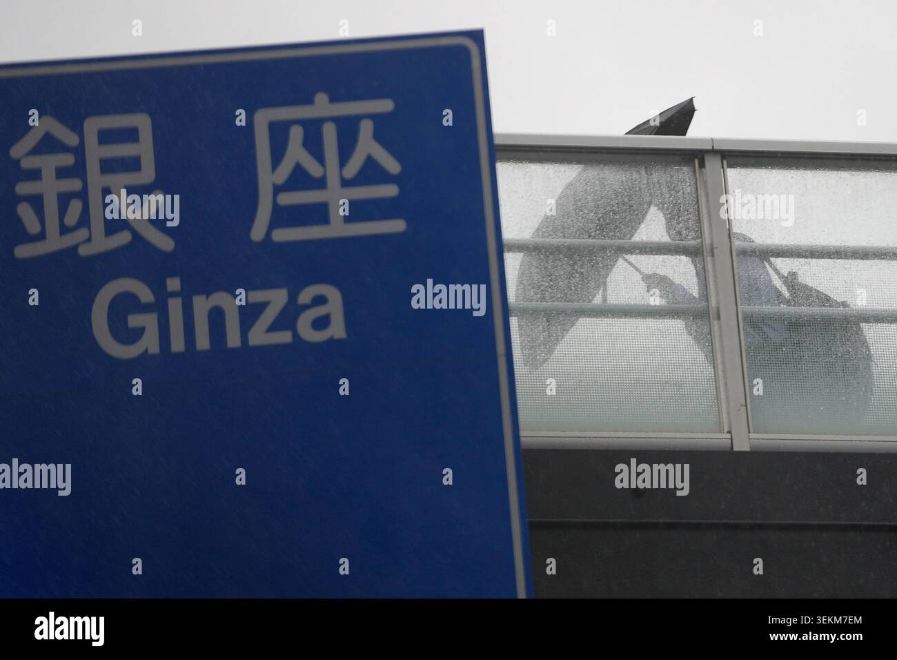 A person holds an umbrella against a strong wind and rain due to ...
