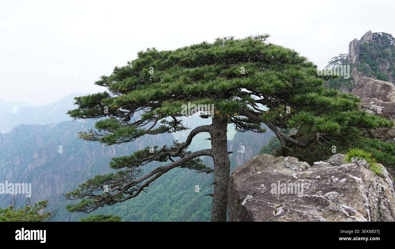 Mount Huangshan: The Epitome of Volcanic Grandeur, Exploring the ...