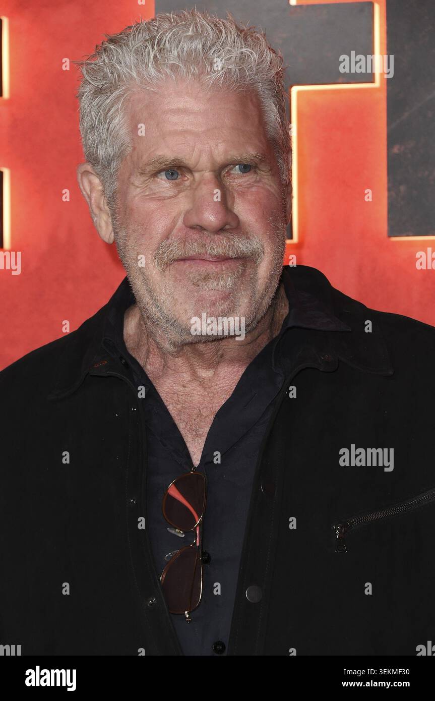 Ron Perlman at arrivals for CAPE FEAR Premiere, Directors Guild of ...