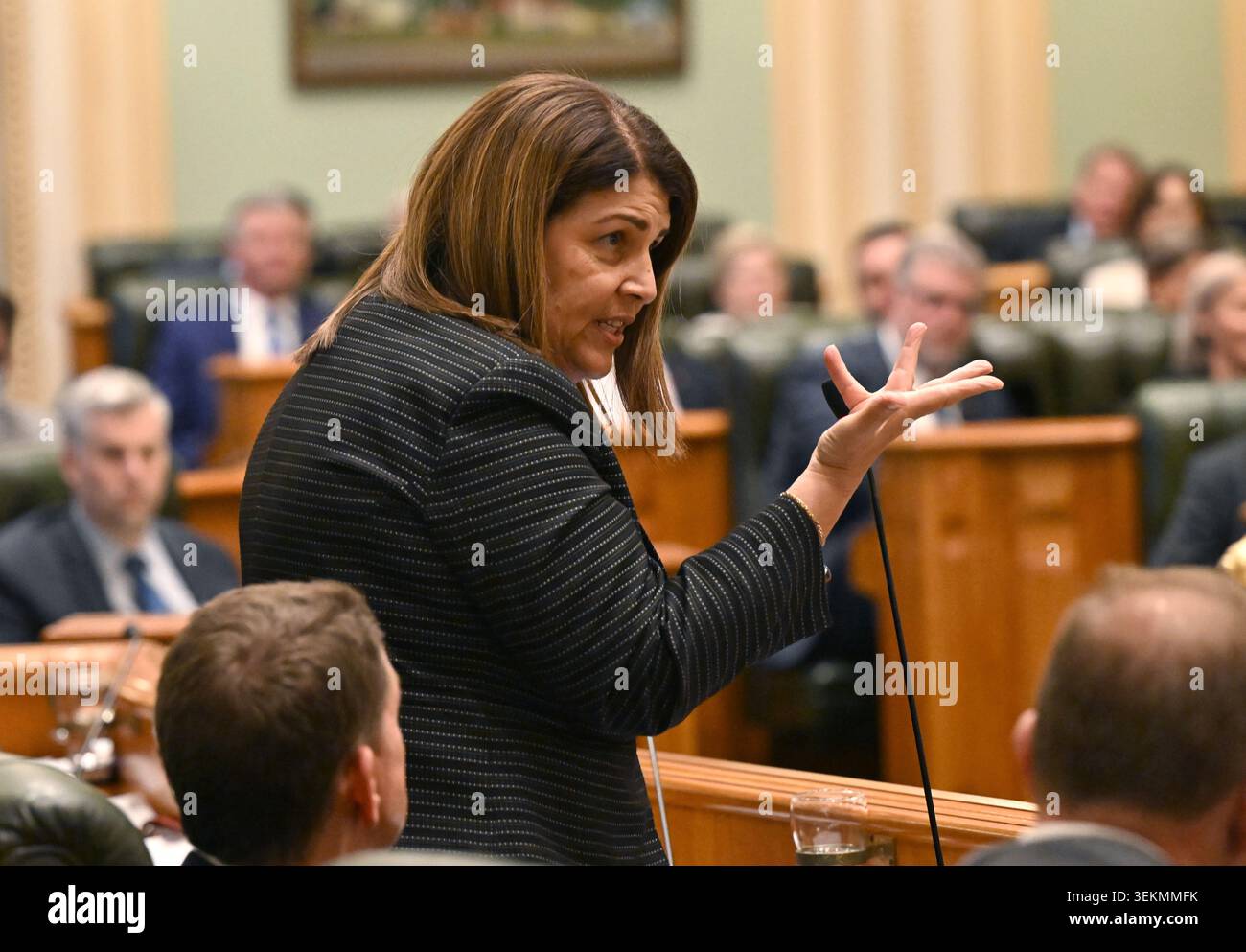 Grace Grace, the Member for McConnel is seen during Question Time at ...