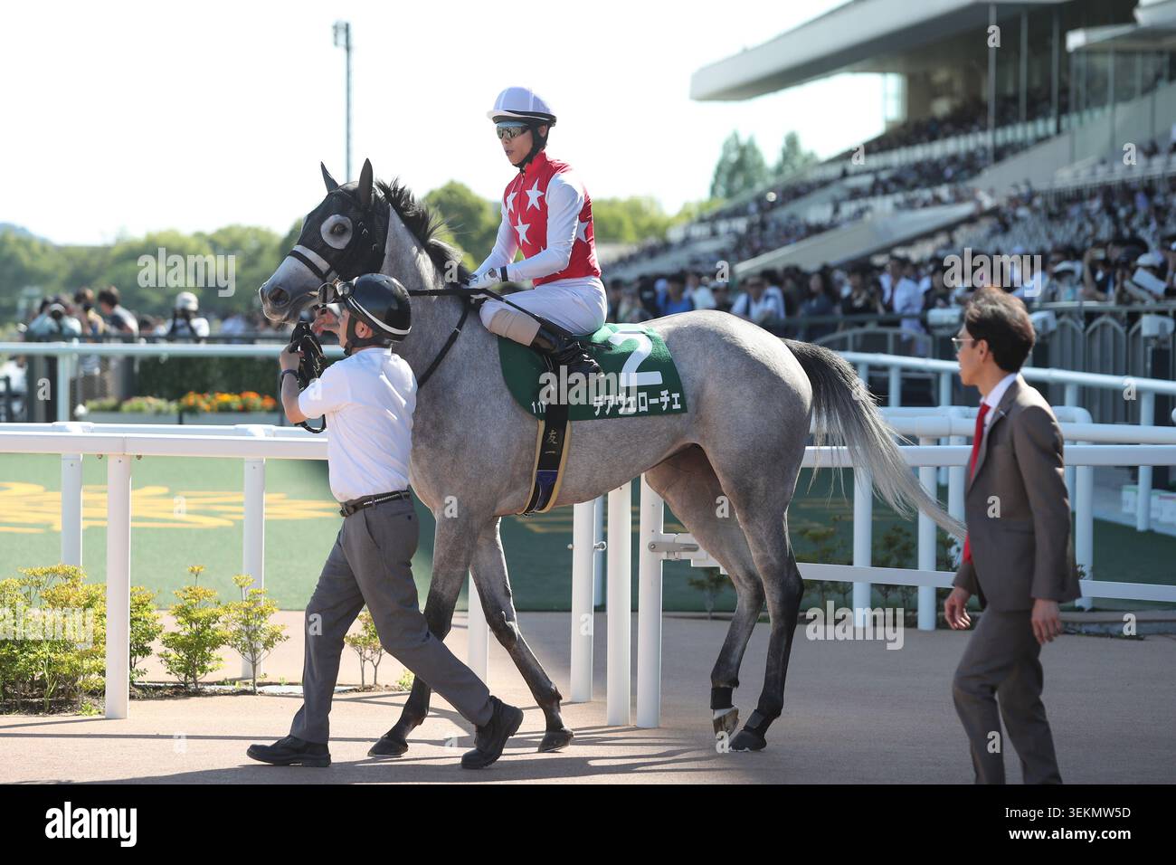 2026/05/30 KYOTO 11R THE AOI STAKES Dea Veloce / Yuichi Kitamura Jockey ...