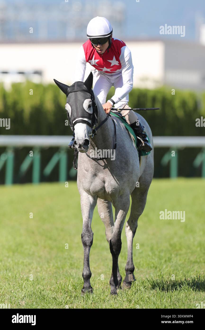 2026/05/30 KYOTO 11R THE AOI STAKES Dea Veloce / Yuichi Kitamura Jockey ...