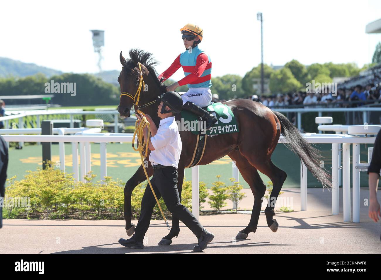 2026/05/30 KYOTO 11R THE AOI STAKES Tamamo Icarus / Riki Takasugi ...