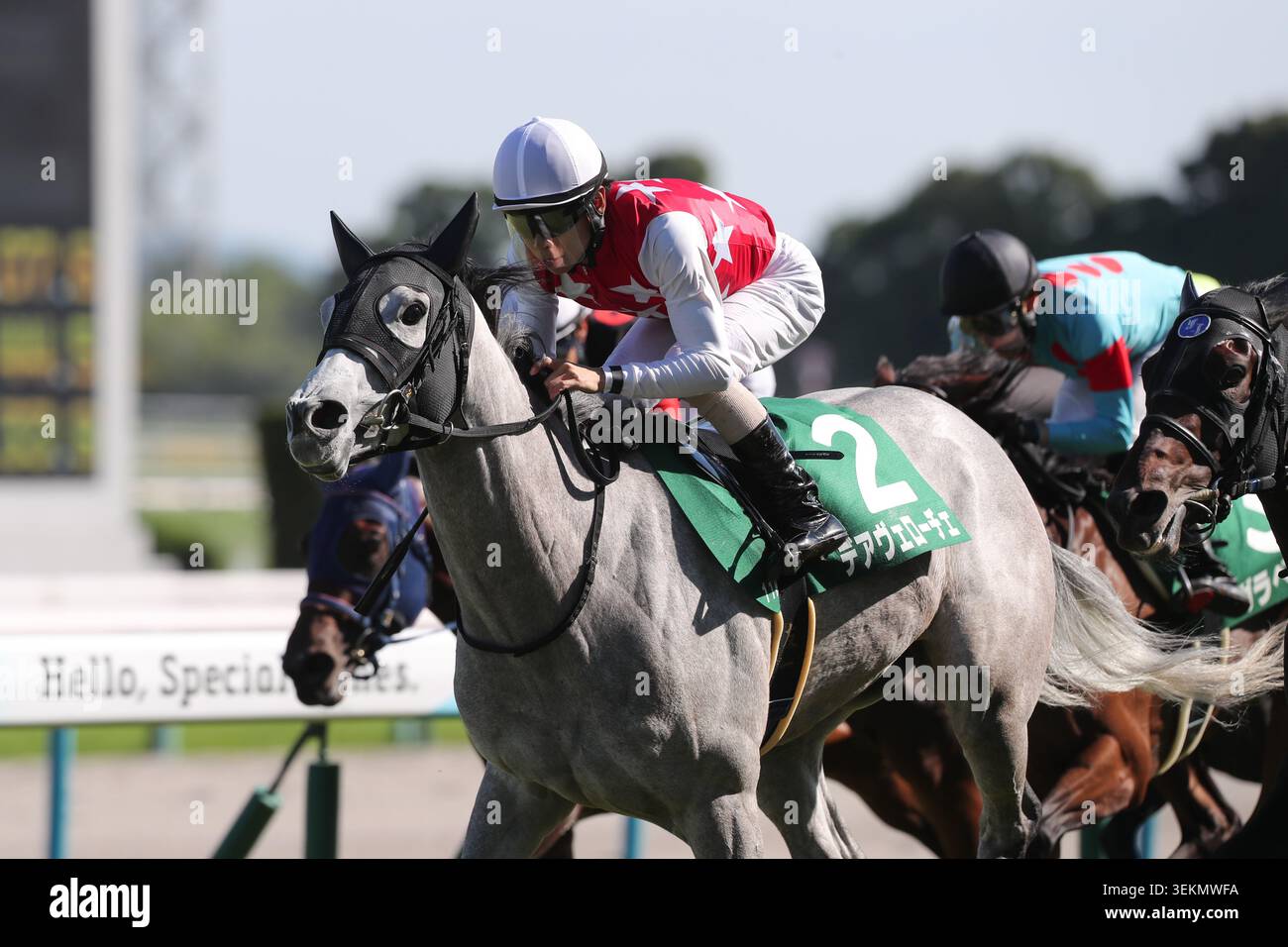 2026/05/30 KYOTO 11R THE AOI STAKES Dea Veloce / Yuichi Kitamura Jockey ...