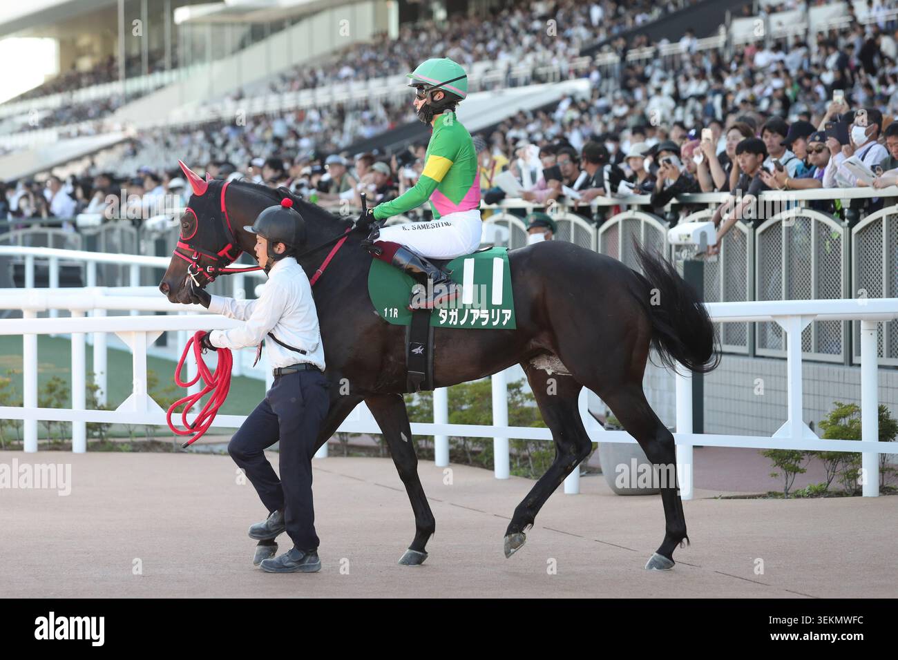 2026/05/30 KYOTO 11R THE AOI STAKES Tagano Aralia / Katsuma Sameshima ...