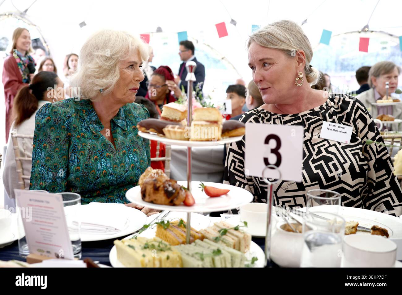 Queen Camilla speaks to book publisher Pan Macmillan communications ...