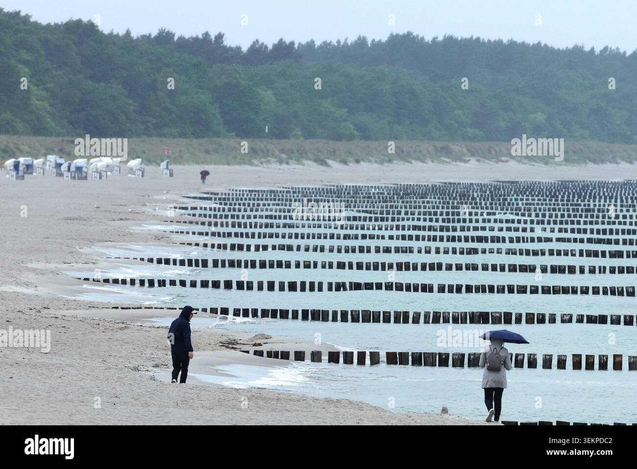 03 June 2026, Mecklenburg-Western Pomerania, Zingst: Only a few walkers ...