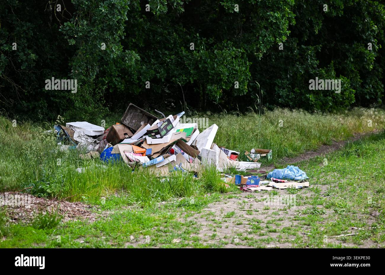 03 June 2026, Berlin: Illegally dumped garbage lies at the edge of the ...