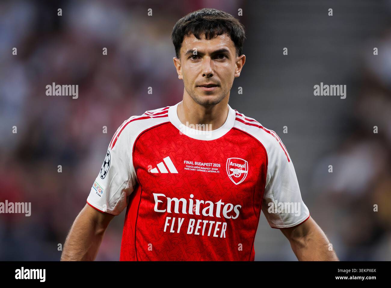 Martin Zubimendi of Arsenal FC looks on during the UEFA Champions ...