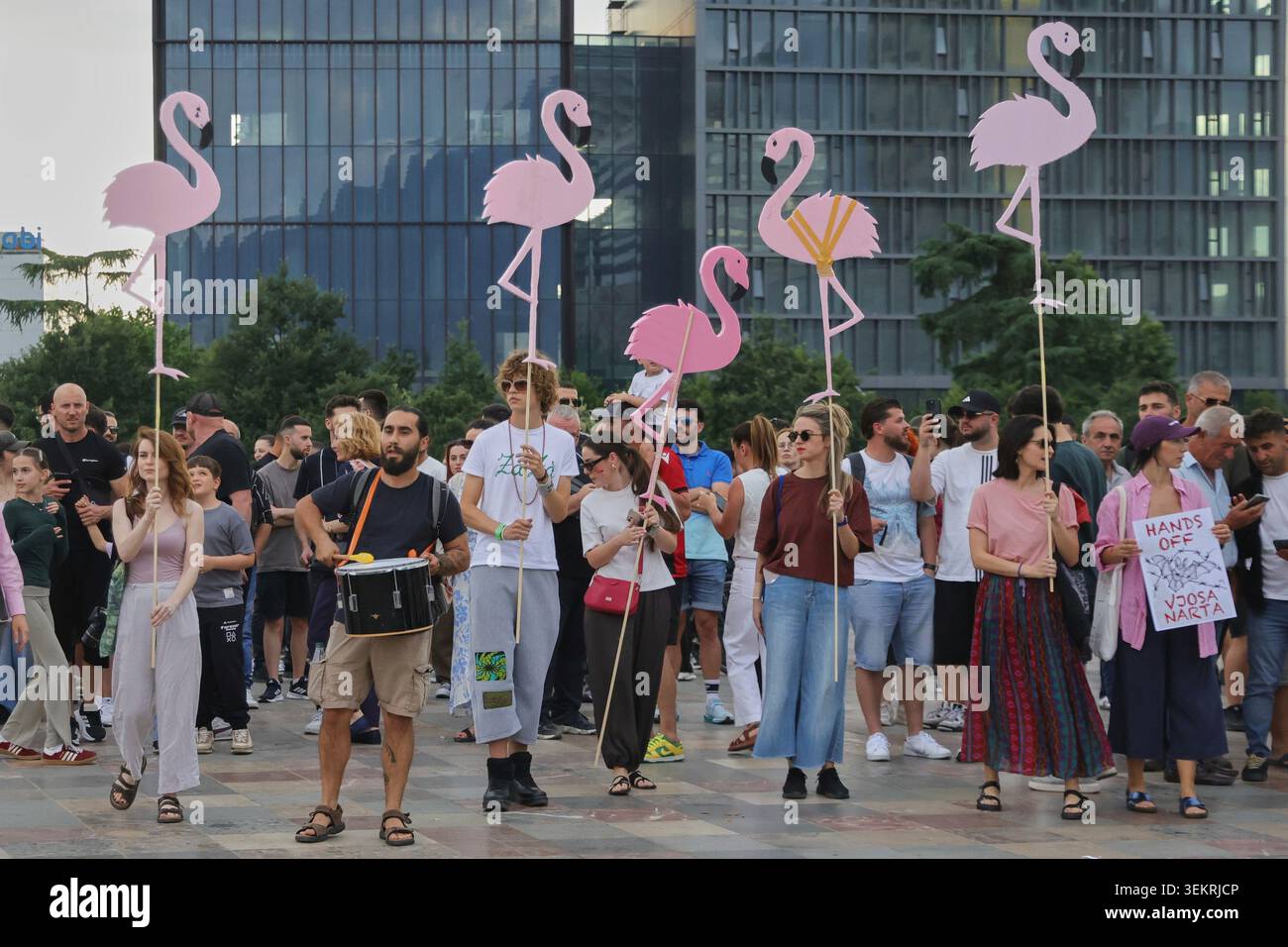 Protesters hold pink flamingo cutouts during a demonstration in Tirana ...