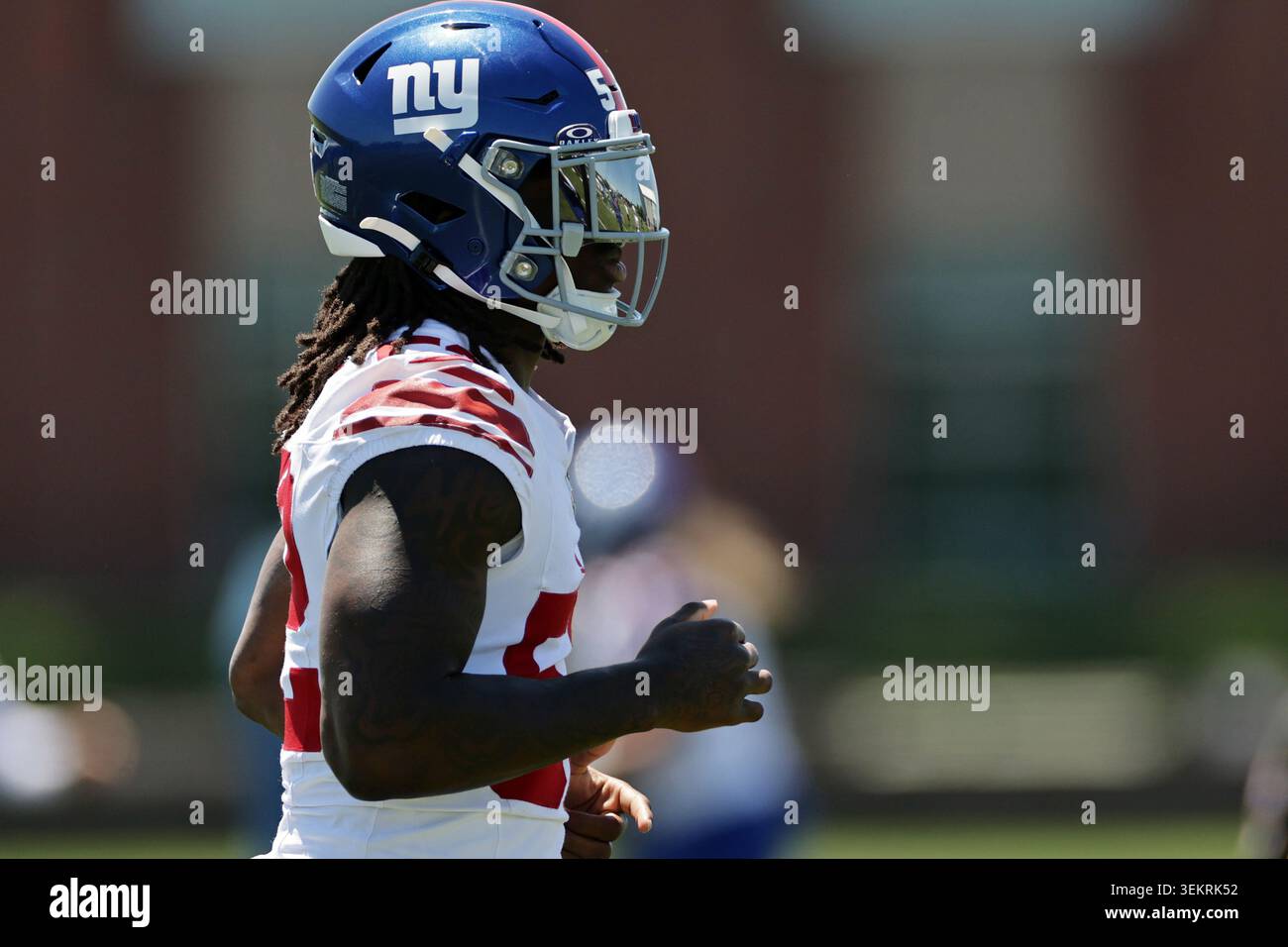 New York Giants linebacker Arvell Reese (52) during an NFL football ...