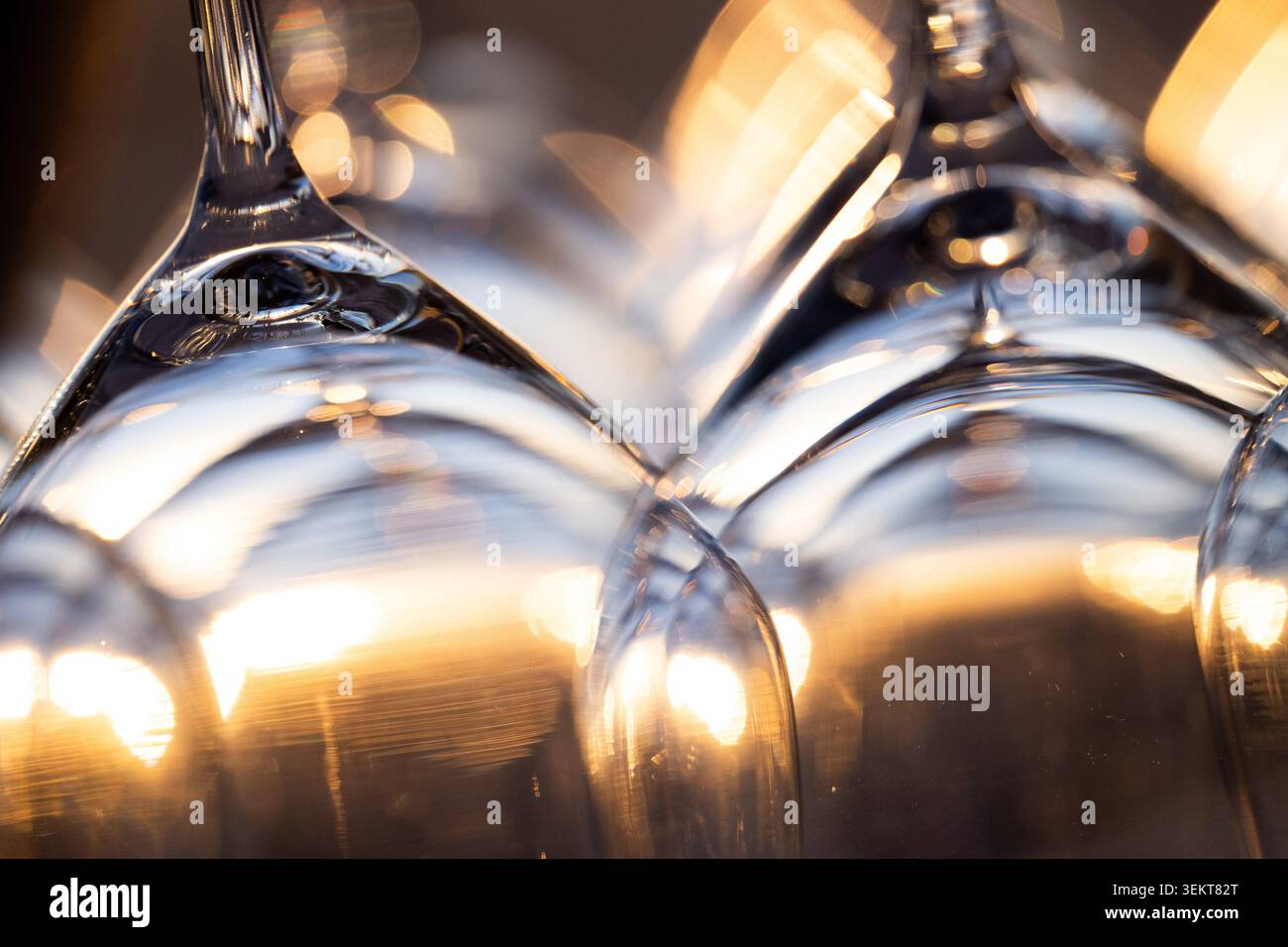03 June 2026, Berlin: Wine glasses are backlit by the sun. Photo ...