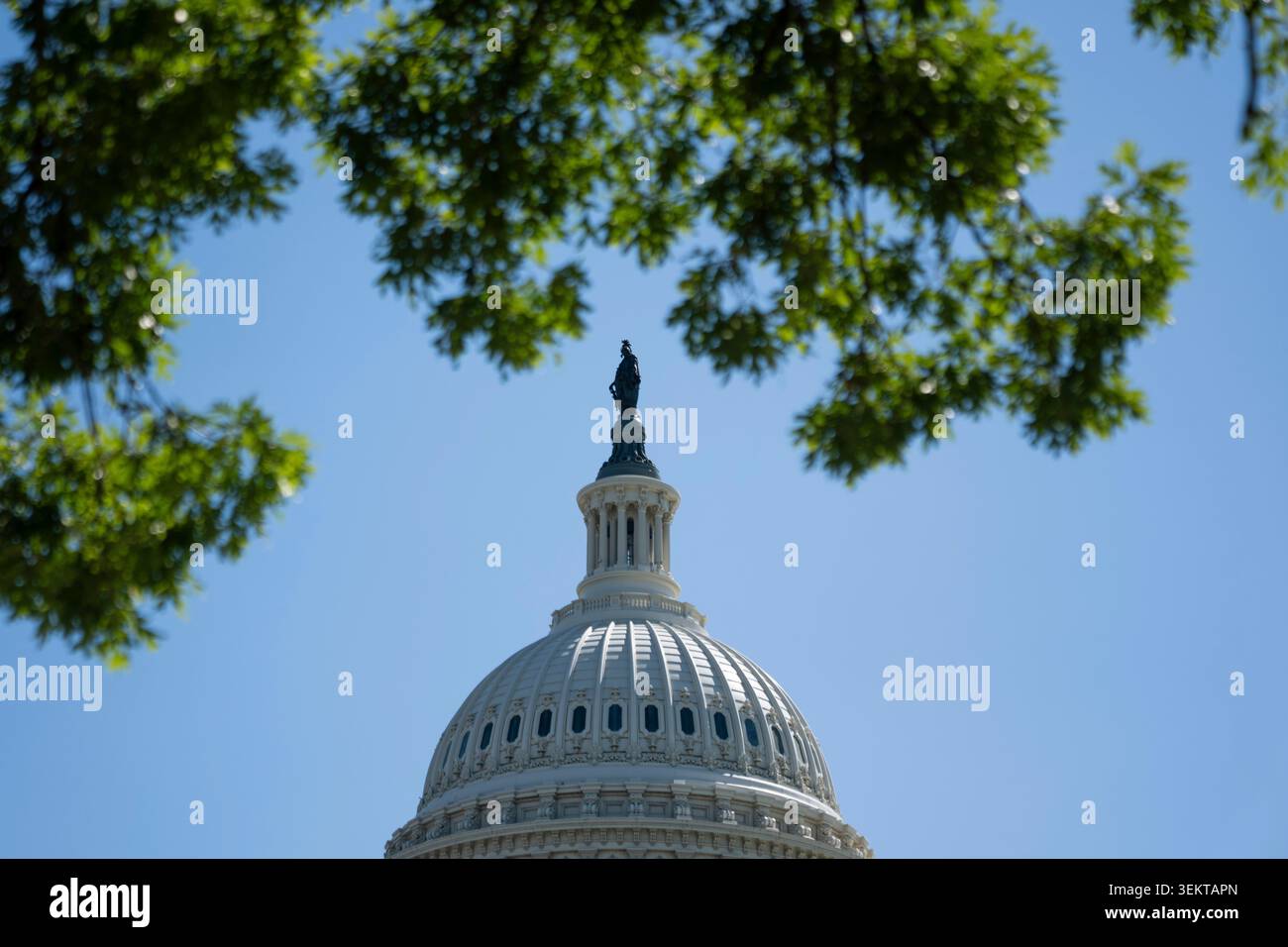 The U.S. Capitol, Wednesday, June 3, 2026, in Washington. (AP Photo ...