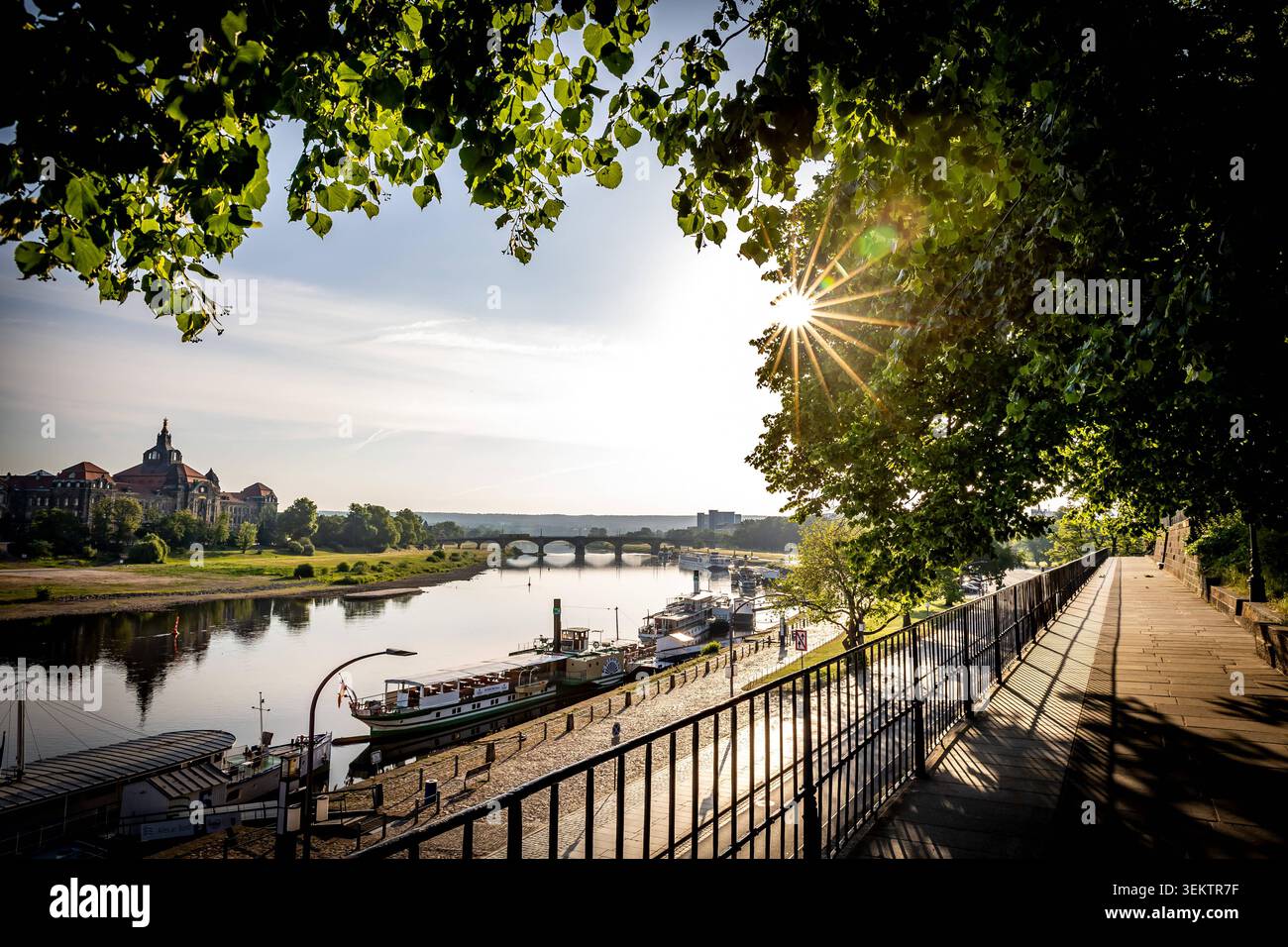31.05.2026 - Impression: Morgenstimmung aus Dresden. Blick auf die Elbe ...