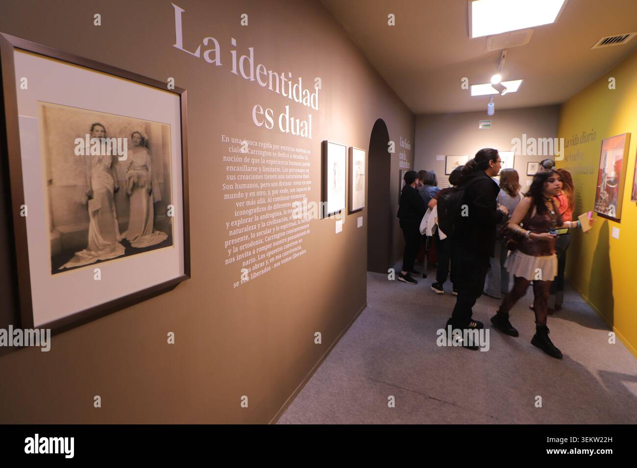 Persons taking a tour during the immersive exhibition "Magic Labyrinth ...