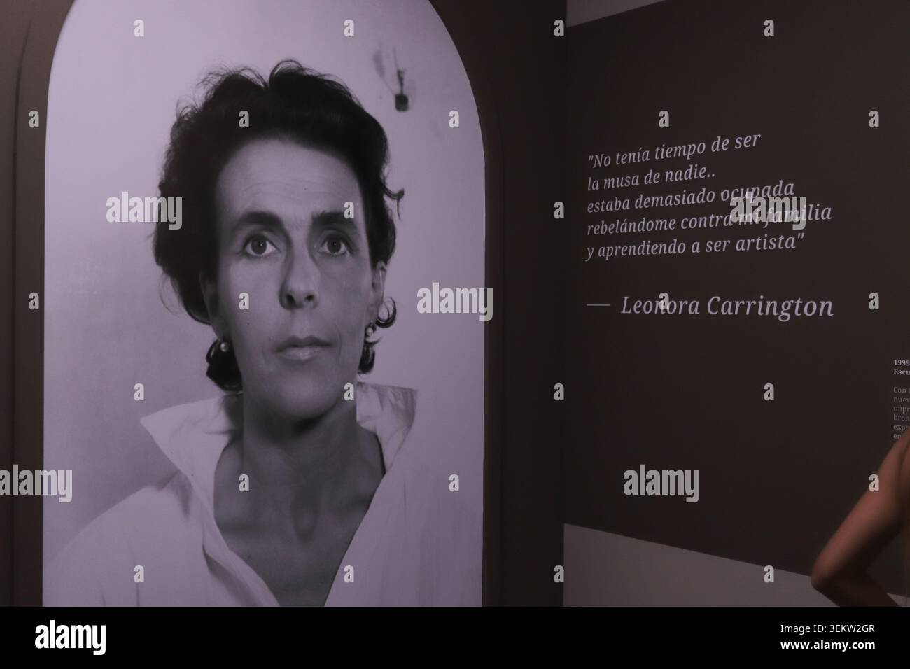 A portrait of Leonora Carrington is seen during a tour of the immersive ...