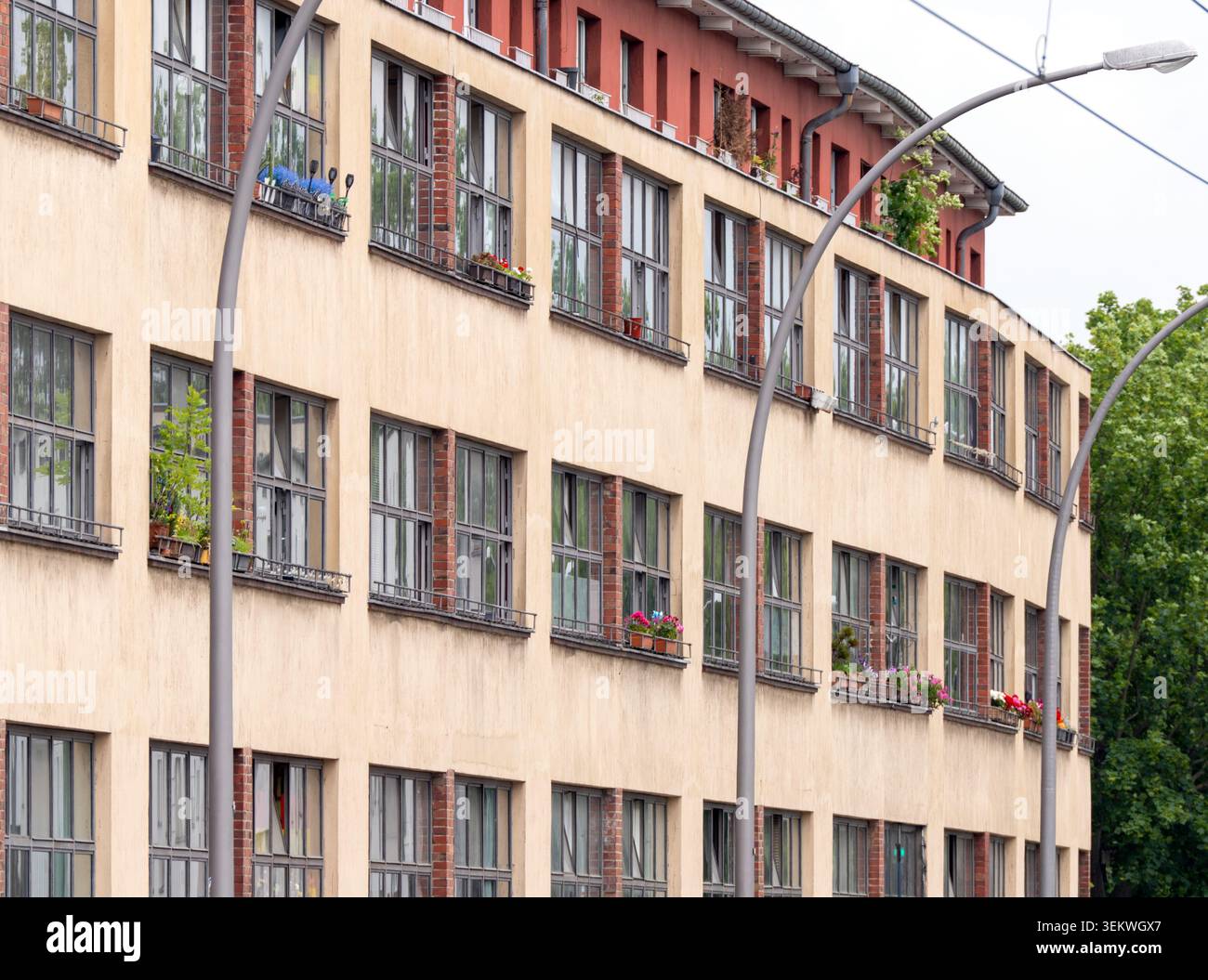 03 June 2026, Berlin: Refurbished apartment buildings on Buschallee in ...