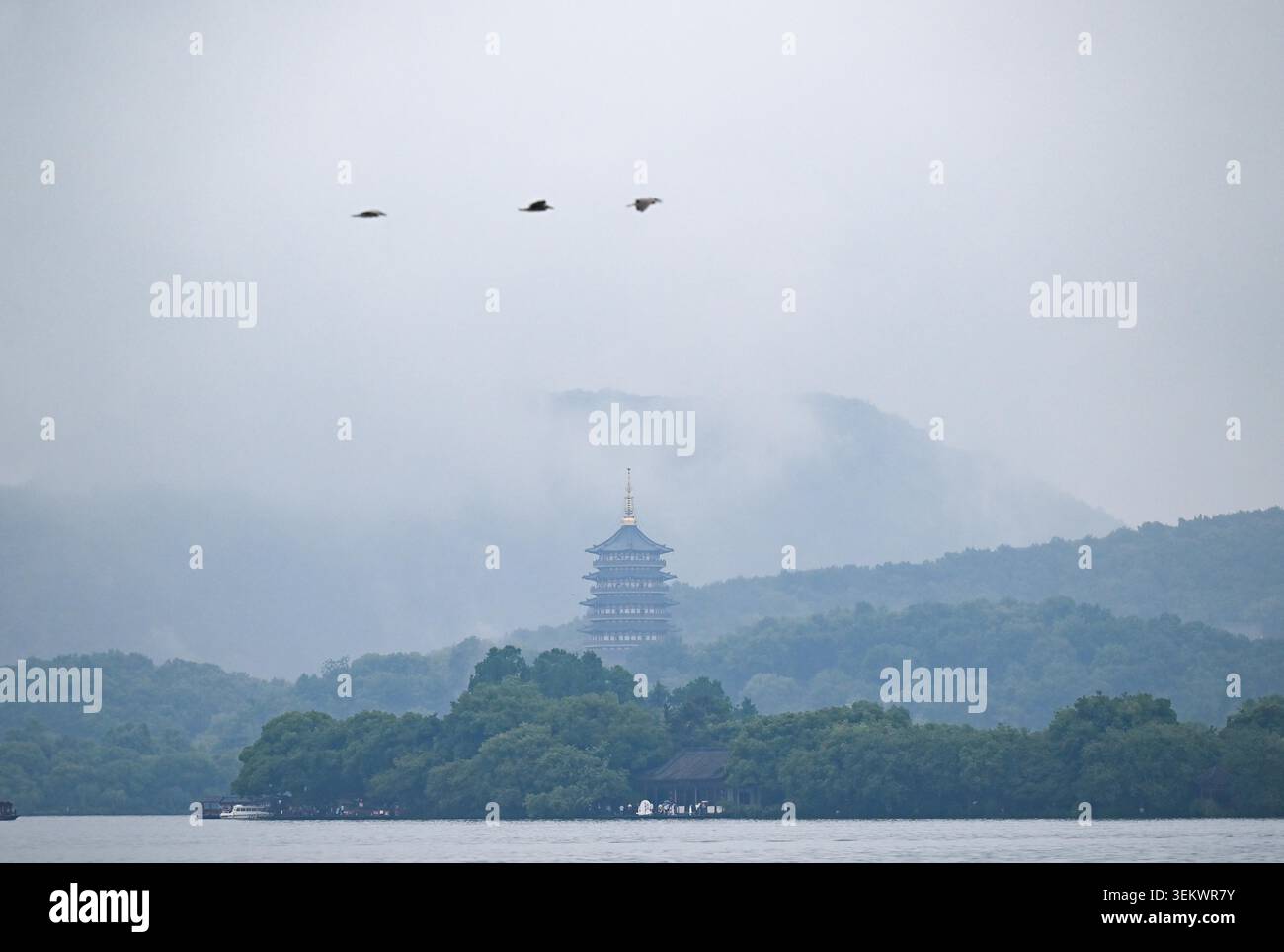 **CHINESE MAINLAND, HONG KONG, MACAU AND TAIWAN OUT**Birds fly near ...