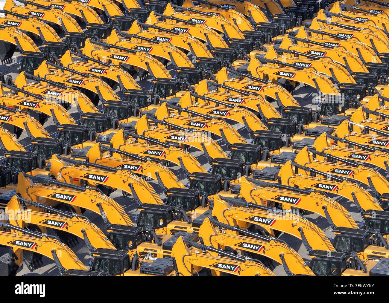Excavators from Sany Group await export at a storage yard in Yantai ...
