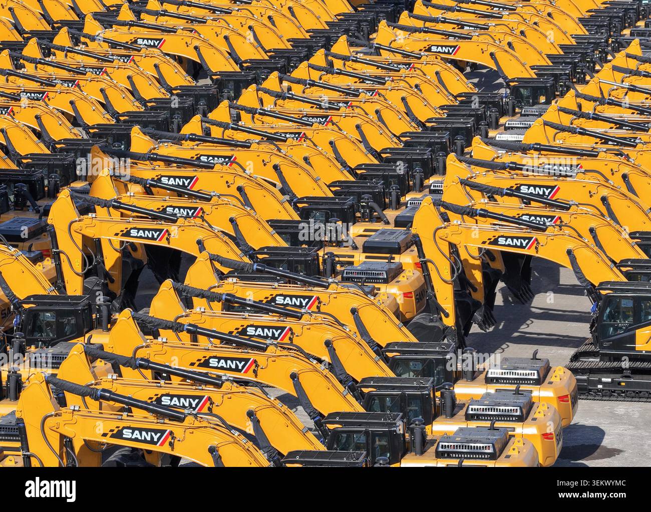 Excavators from Sany Group await export at a storage yard in Yantai ...