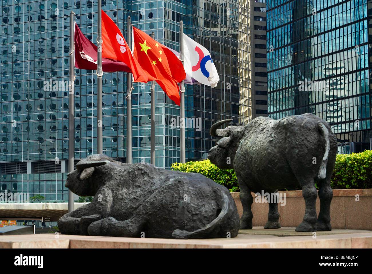 The Hong Kong Stock Exchange flag in front of the buffalo statue on ...