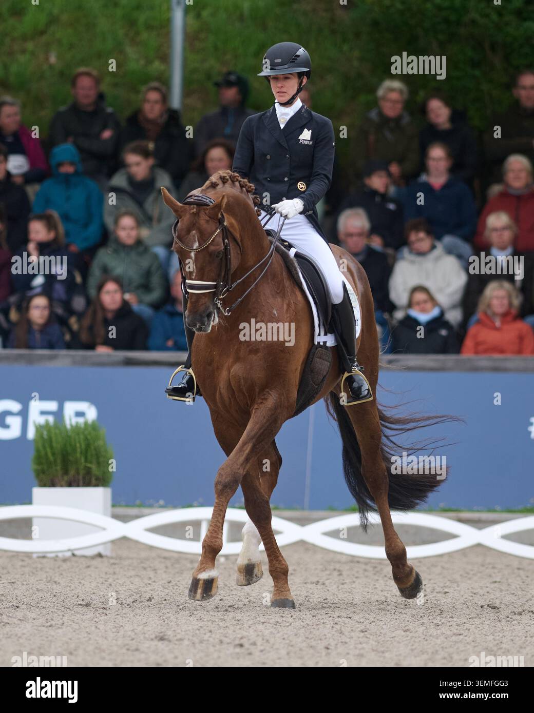 07 June 2026, North Rhine-Westphalia, Balve: Equestrian Dressage ...