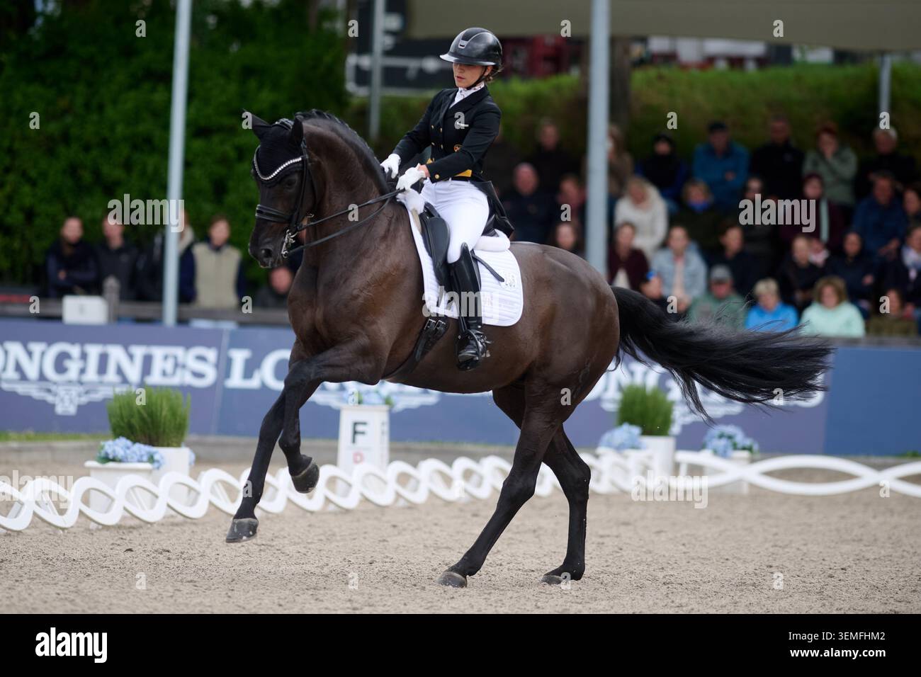 07 June 2026, North Rhine-Westphalia, Balve: Equestrian Dressage ...