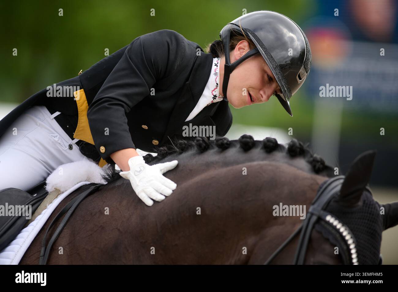 07 June 2026, North Rhine-Westphalia, Balve: Equestrian Dressage ...