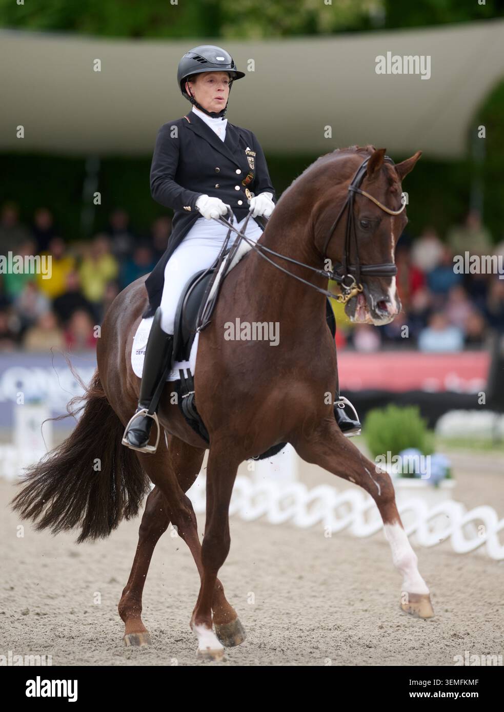 07 June 2026, North Rhine-Westphalia, Balve: Equestrian Dressage ...