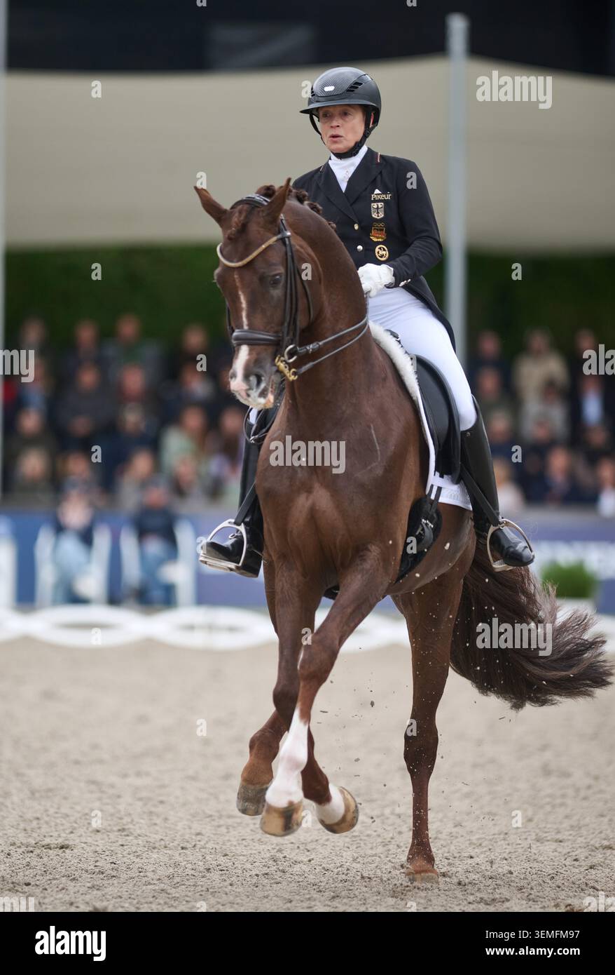 07 June 2026, North Rhine-Westphalia, Balve: Equestrian Dressage ...