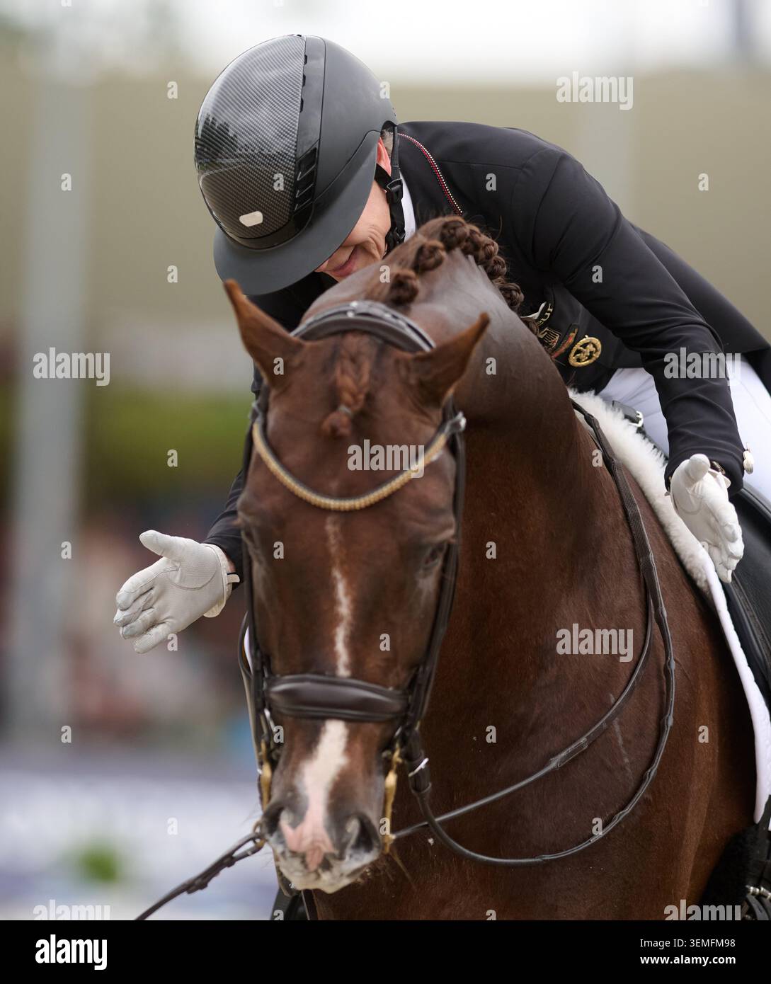 07 June 2026, North Rhine-Westphalia, Balve: Equestrian Dressage ...