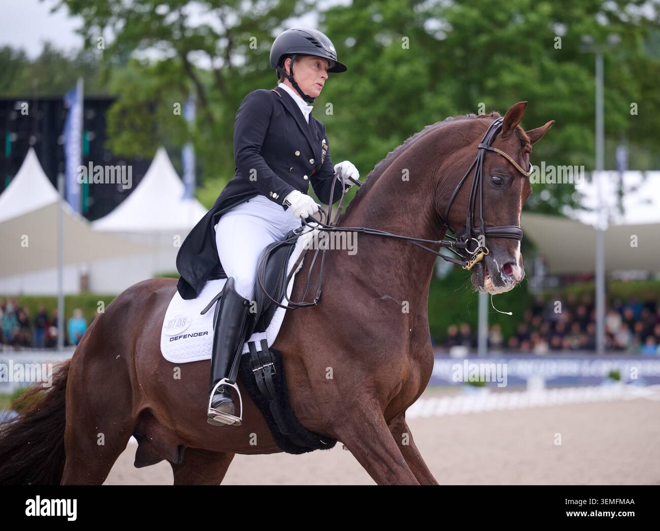 07 June 2026, North Rhine-Westphalia, Balve: Equestrian Dressage ...