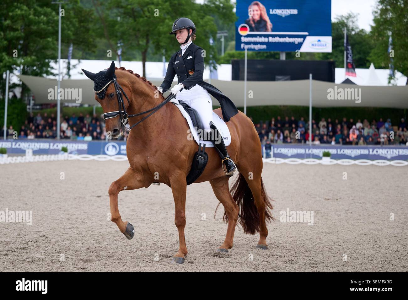 07 June 2026, North Rhine-Westphalia, Balve: Equestrian Dressage ...
