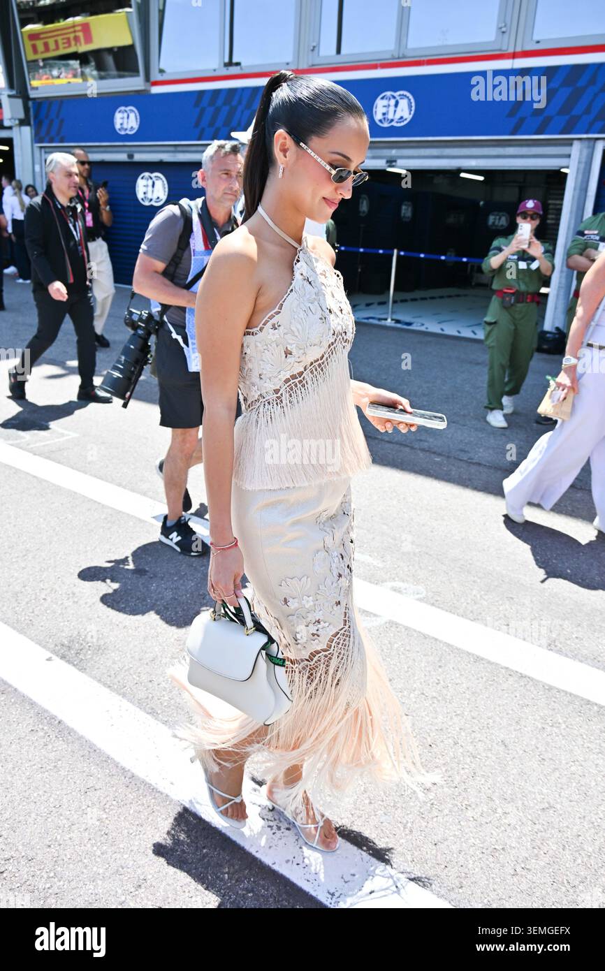 IPA85439235 - Monte Carlo, Formula 1 Monaco Grand Prix - Celebrities ...