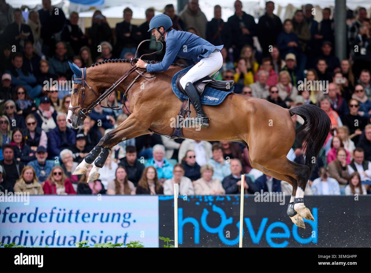 07 June 2026, North Rhine-Westphalia, Balve: Equestrian show jumping ...