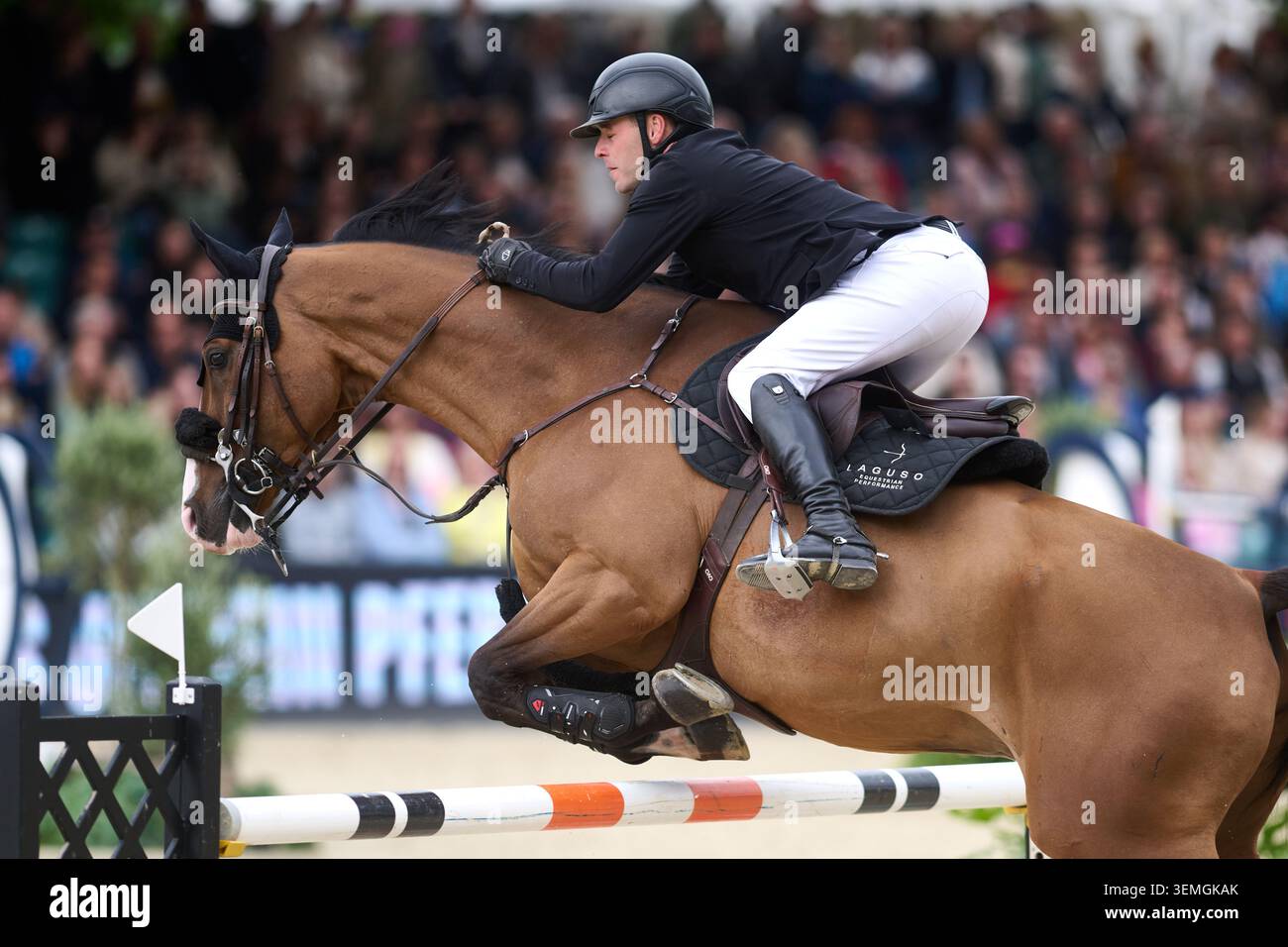 07 June 2026, North Rhine-Westphalia, Balve: Equestrian show jumping ...