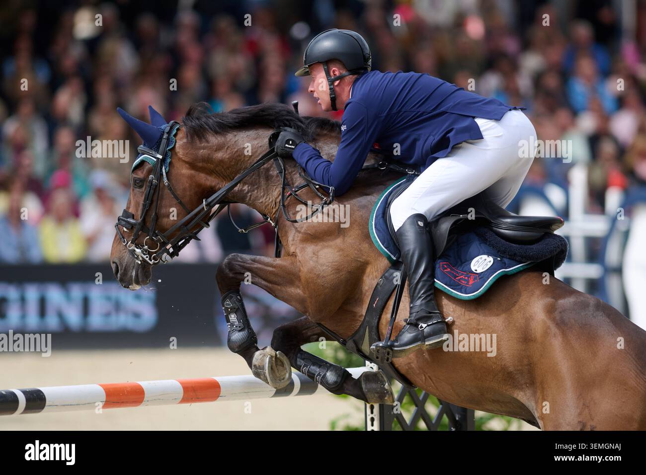 07 June 2026, North Rhine-Westphalia, Balve: Equestrian show jumping ...