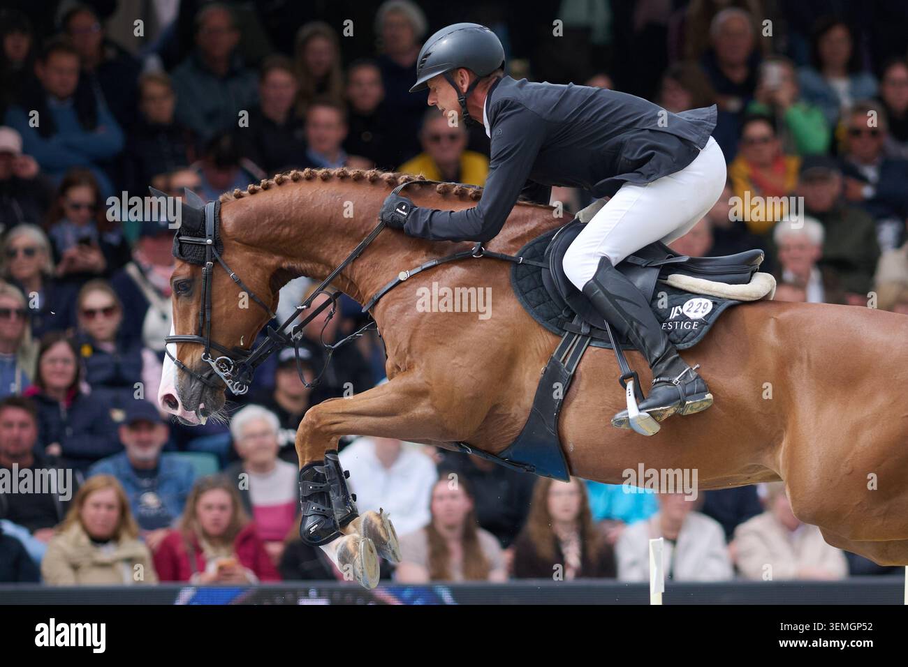 07 June 2026, North Rhine-Westphalia, Balve: Equestrian show jumping ...