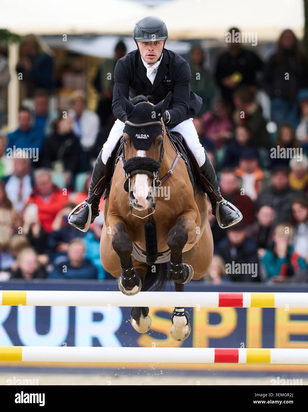 07 June 2026, North Rhine-Westphalia, Balve: Equestrian show jumping ...