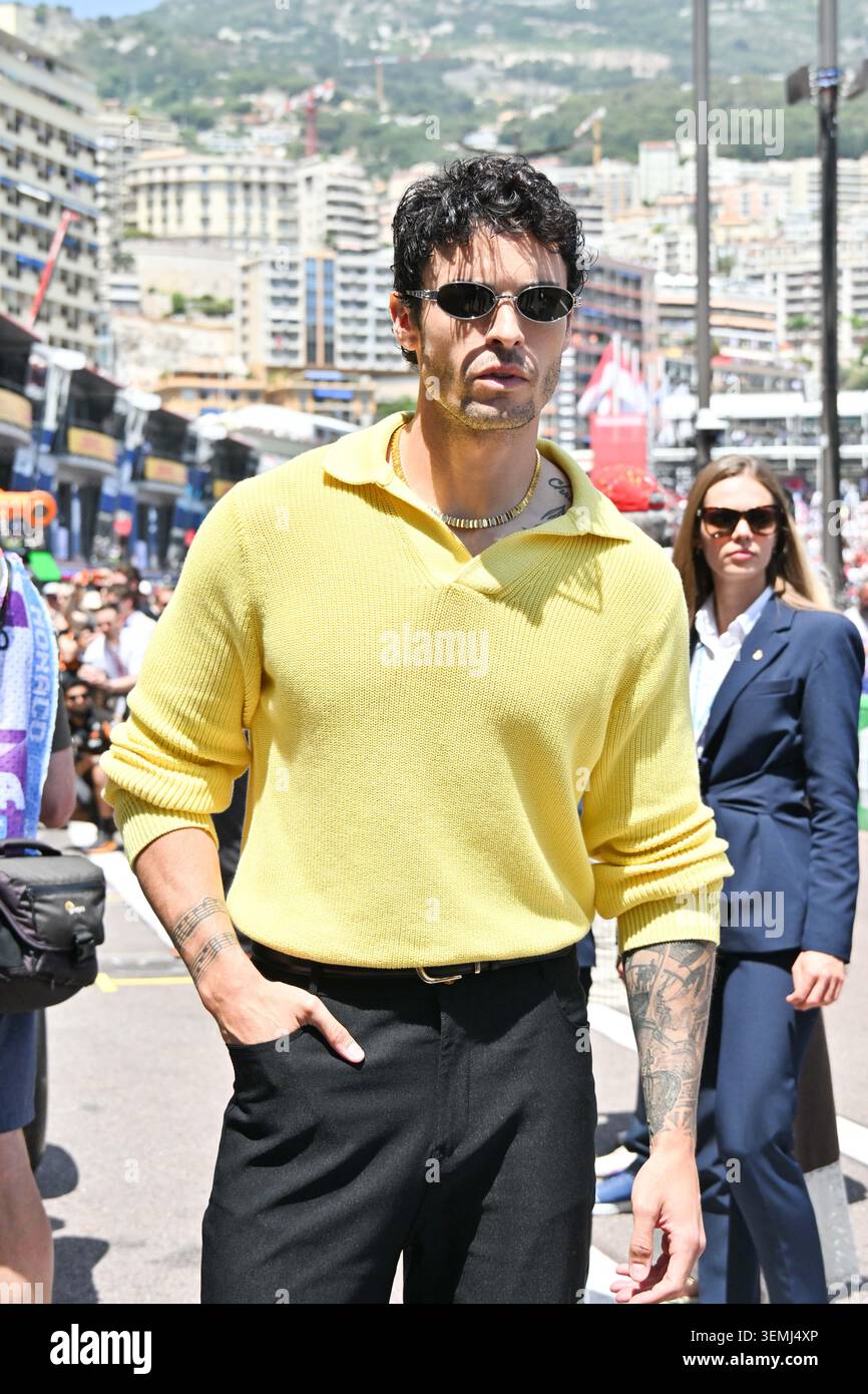 IPA85447224 - Monte Carlo, Formula 1 Monaco Grand Prix , Celebrities ...
