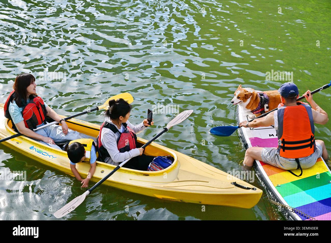 The Liangma River in Beijing's Chaoyang District showcases clear waters ...