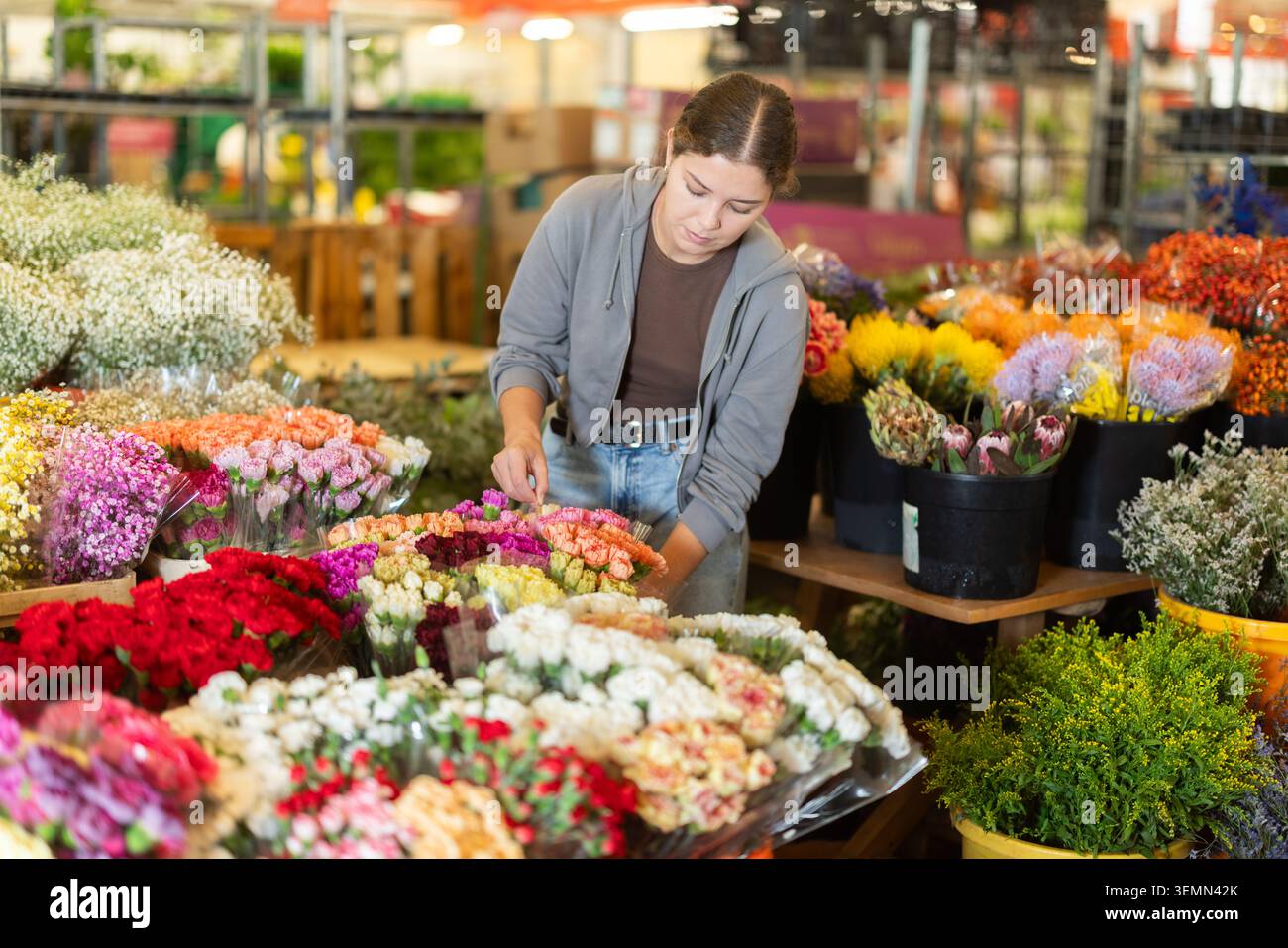 Female customer chooses a bouquet of carnations in flower shop Stock ...