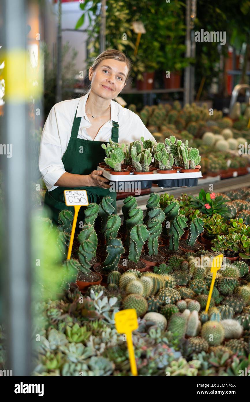 In store, positive gardening female worker inspects young cactus plants ...