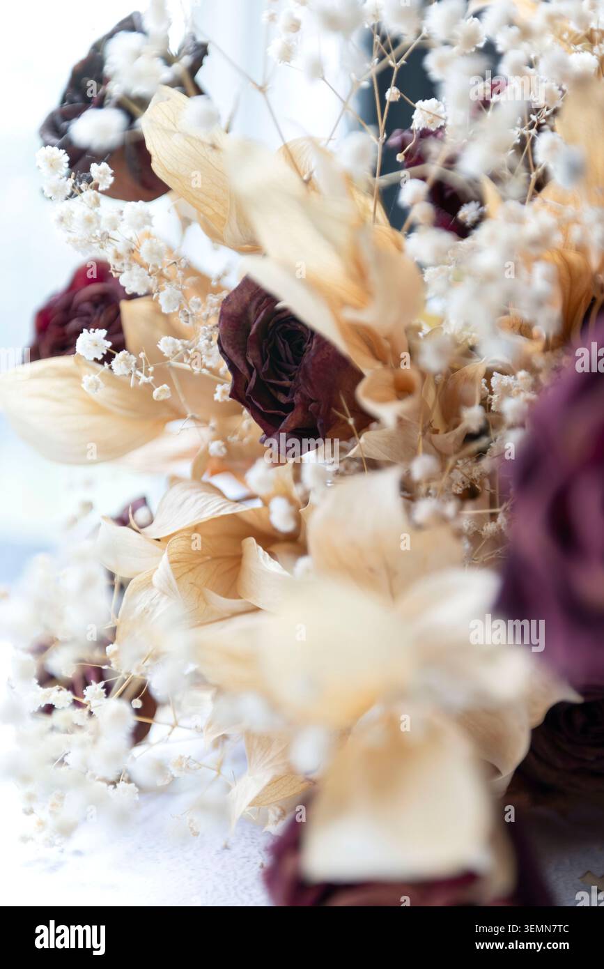 Dried red roses in a bouquet with baby's breath Stock Photo - Alamy